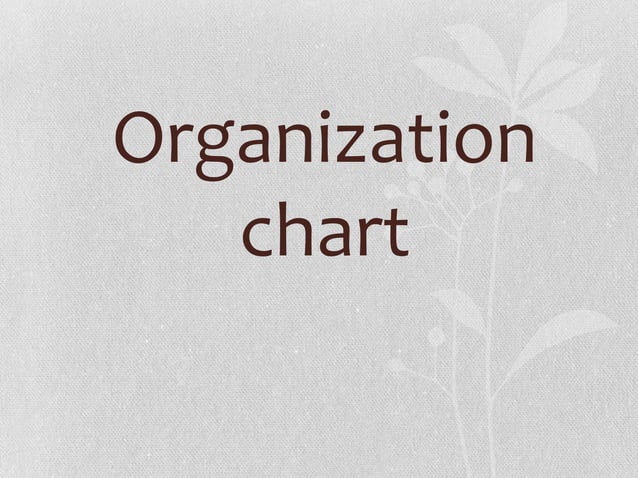 Organization Chart Ppt