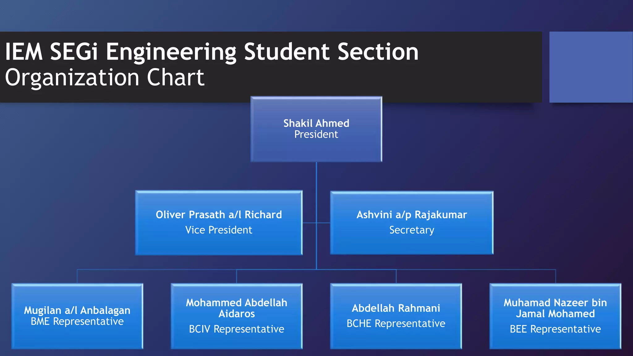 Organization Chart Pptx