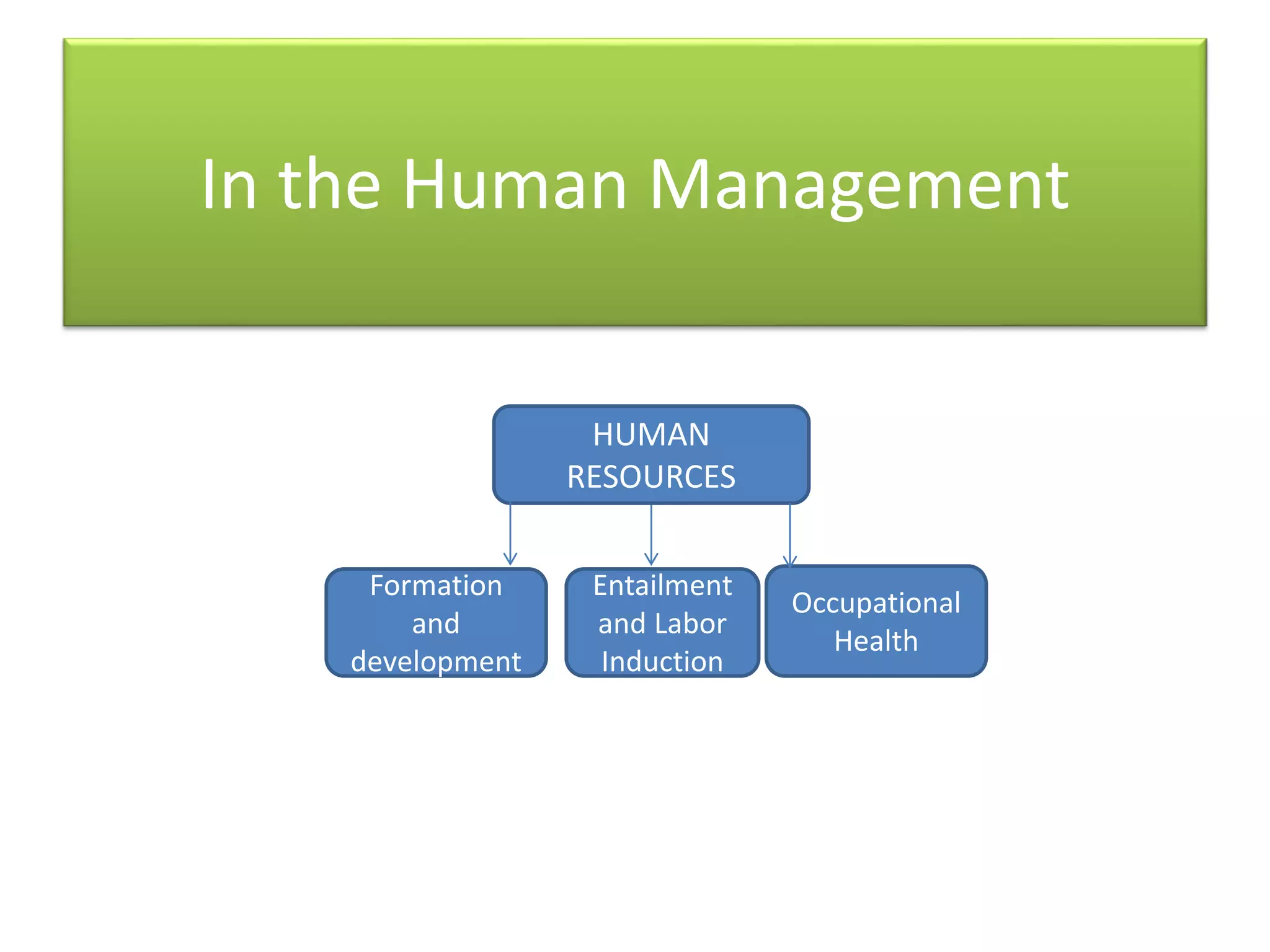 Organization chart english umb | PPT