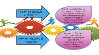 Organization chart | PPT