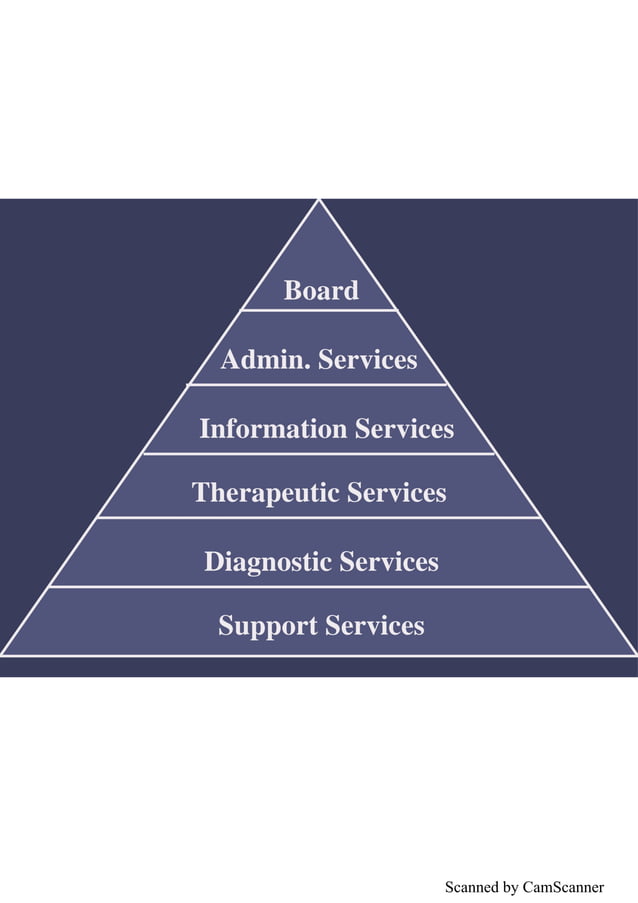 Organization chart of hospital,ward,phc,sc pdf merged | PDF