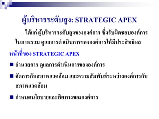 Organization design | PDF