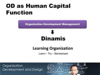 Organization development as a human capital function | PDF
