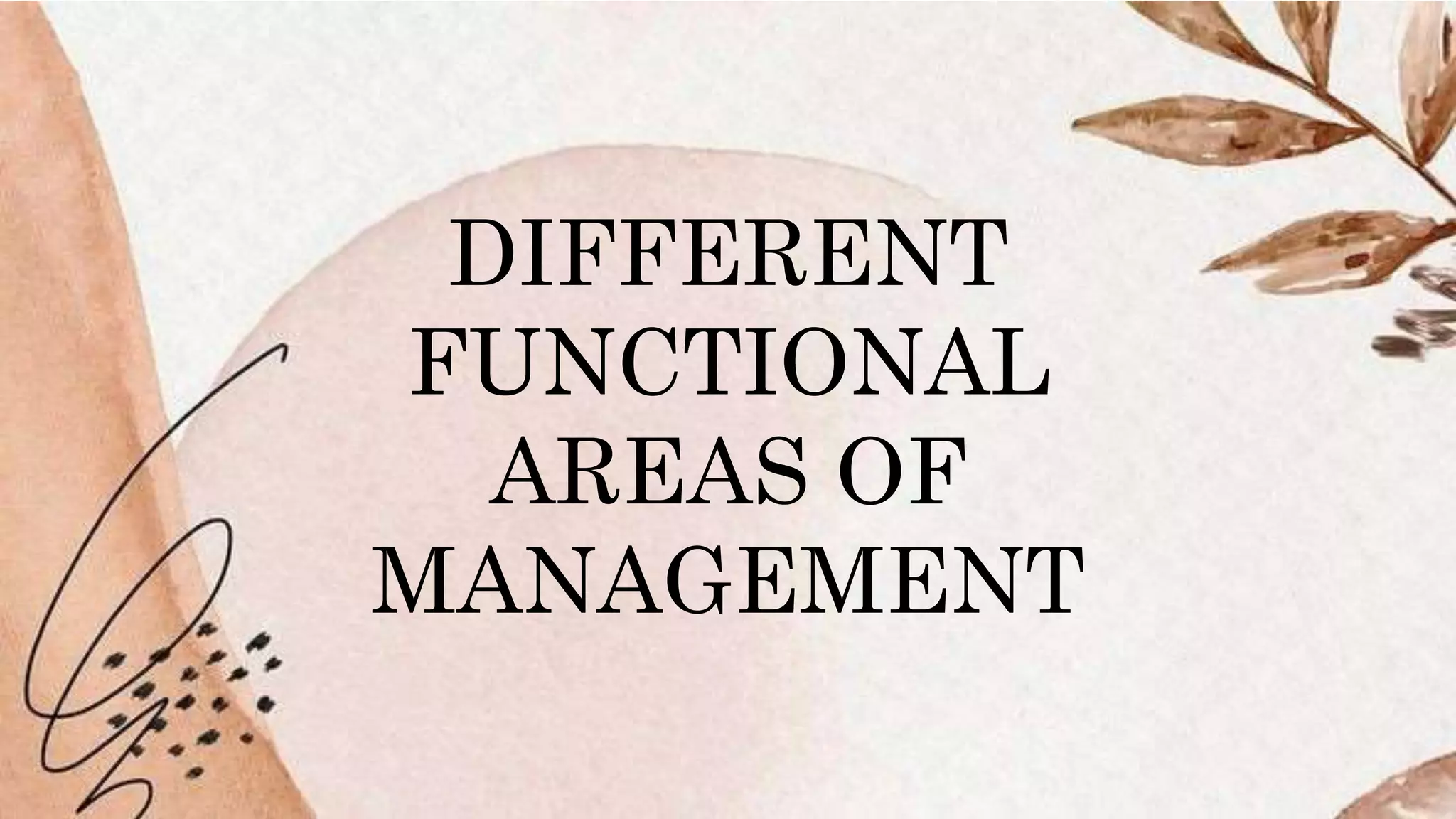 different functional areas of management5.pptx