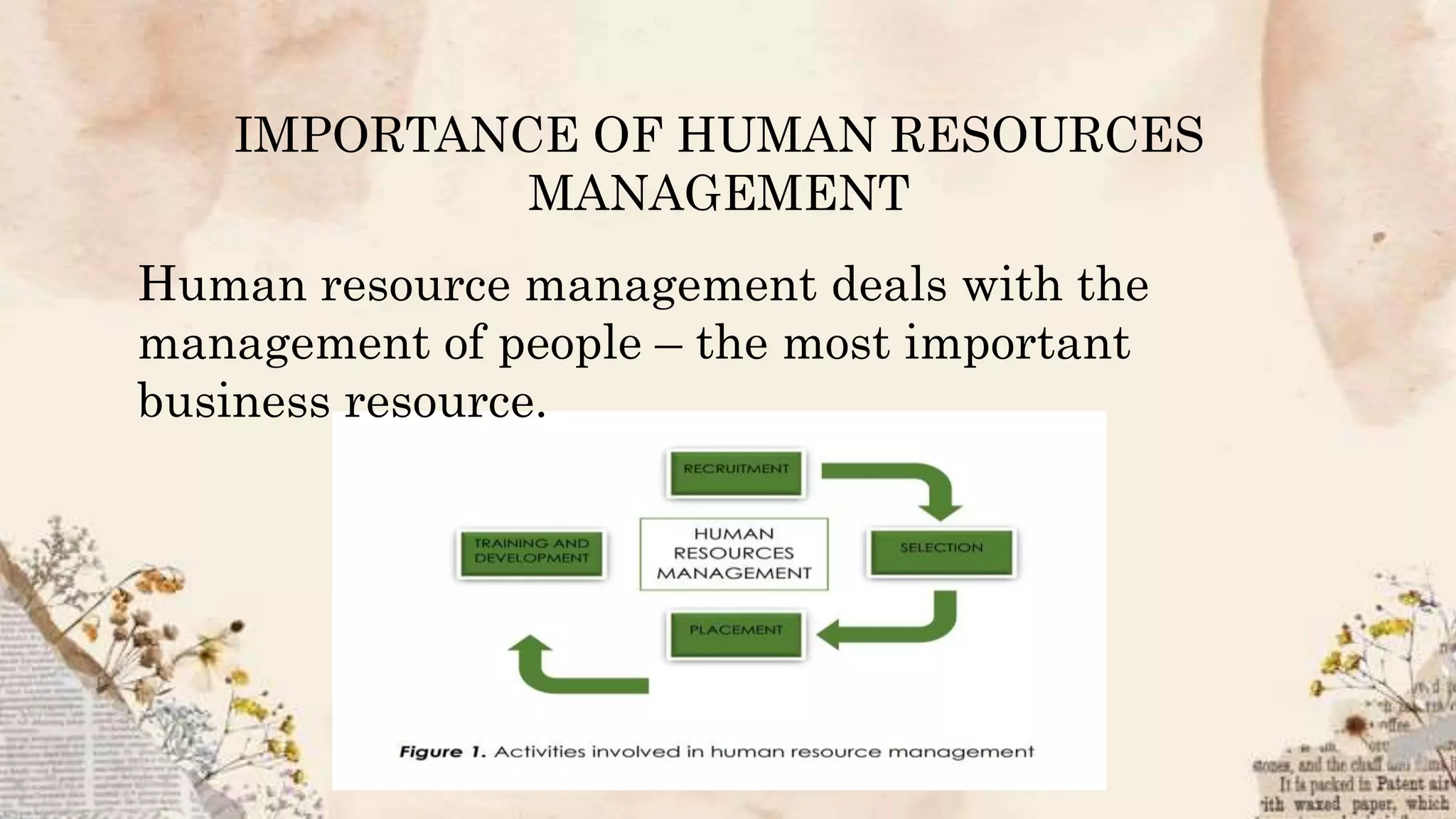 different functional areas of management5.pptx