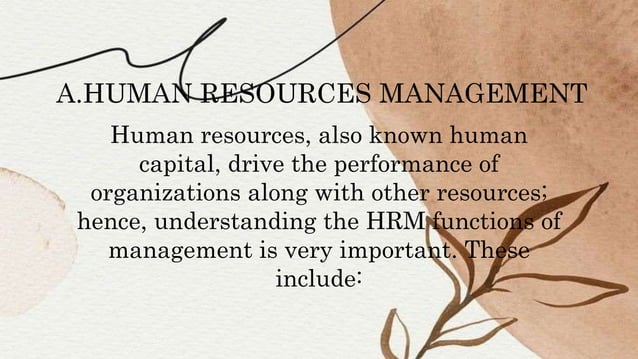 different functional areas of management5.pptx
