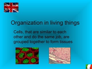 Organization in living things | PPT