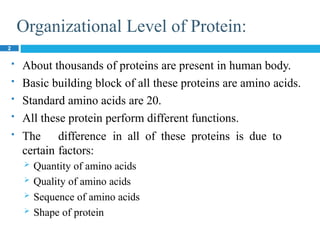 Organization Level (Protein Structure)1 (1) (2).pptx