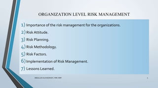 Organizational Risk Management | PPTX