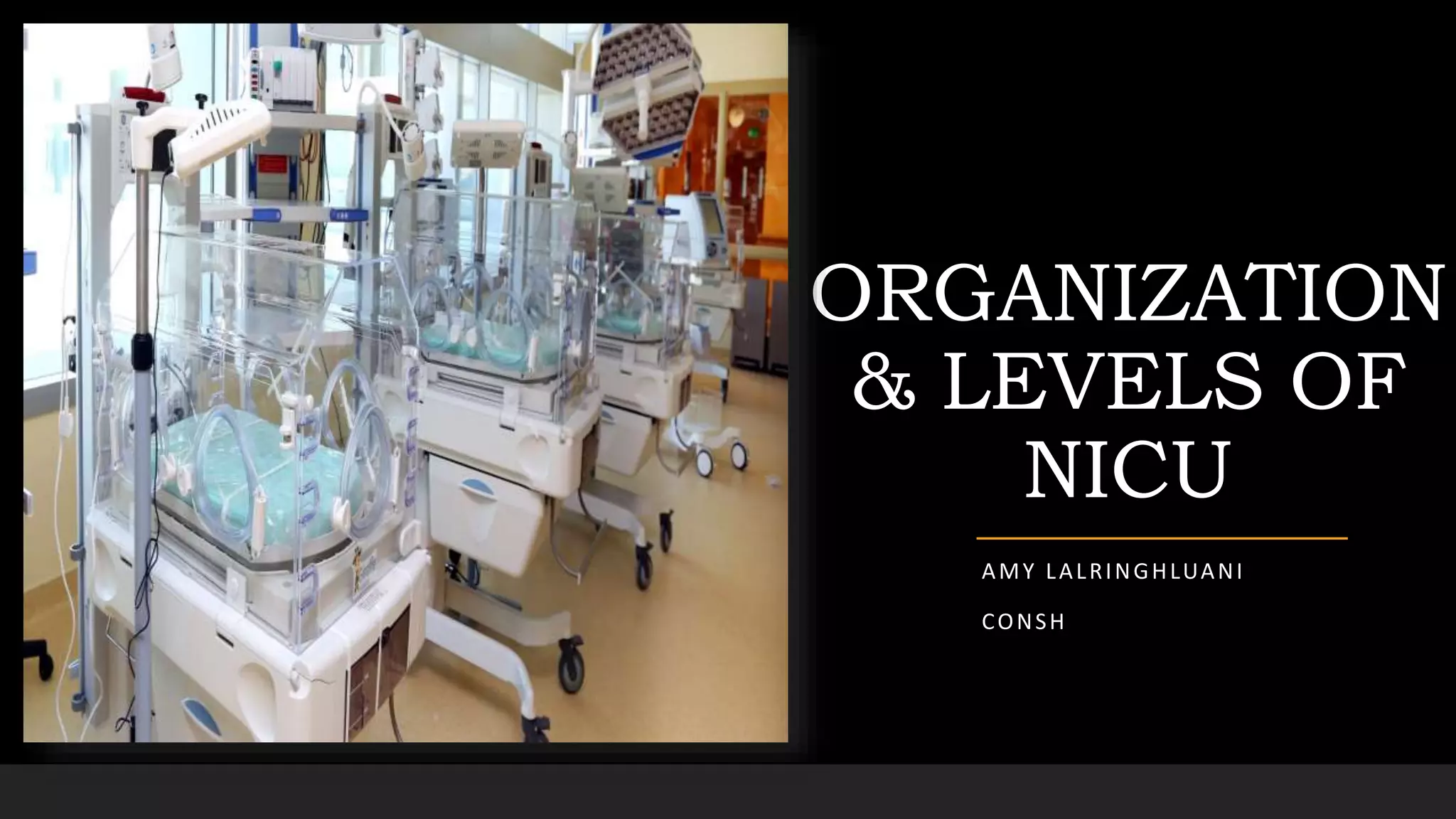 ORGANIZATION & LEVELS OF NICU.pptx