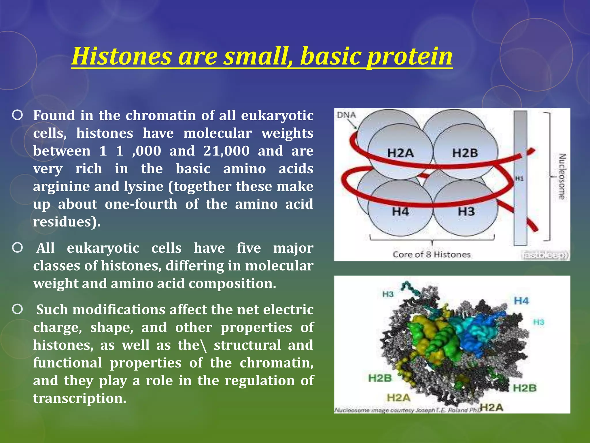 Organization macromolecule complex | PPTX