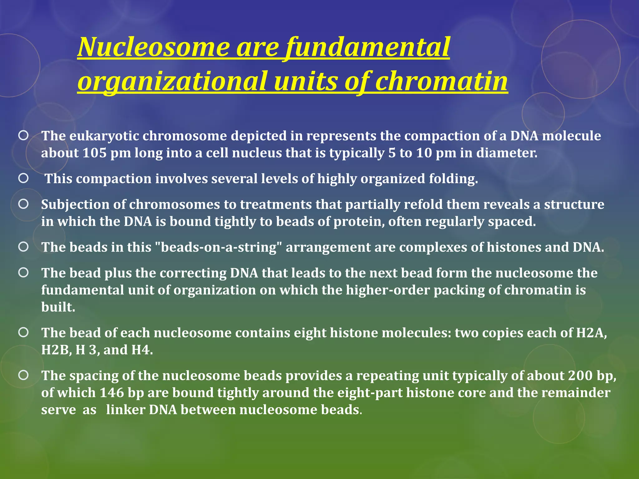 Organization macromolecule complex | PPTX