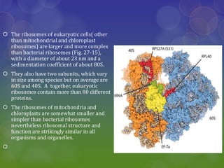 Organization macromolecule complex | PPTX