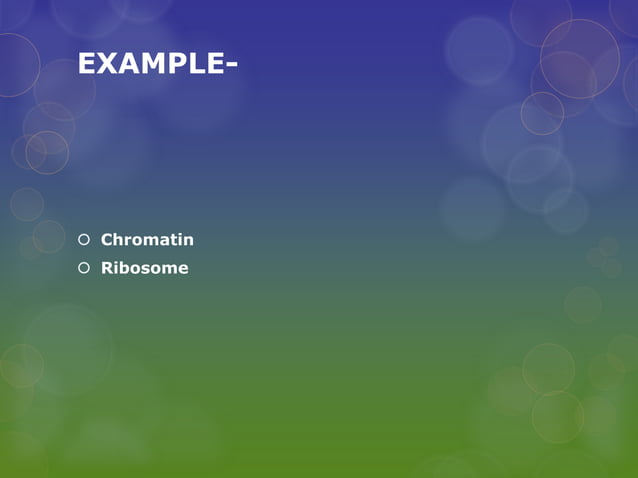 Organization macromolecule complex | PPTX | Chemistry | Science