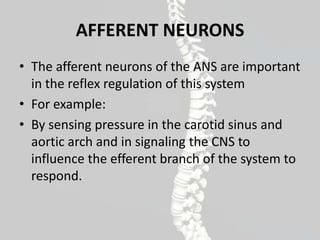 Organization of ans | PPTX