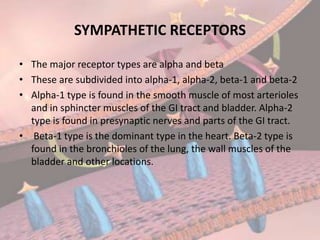 Organization of ans | PPTX