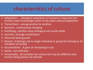 Organization of culture | PPTX