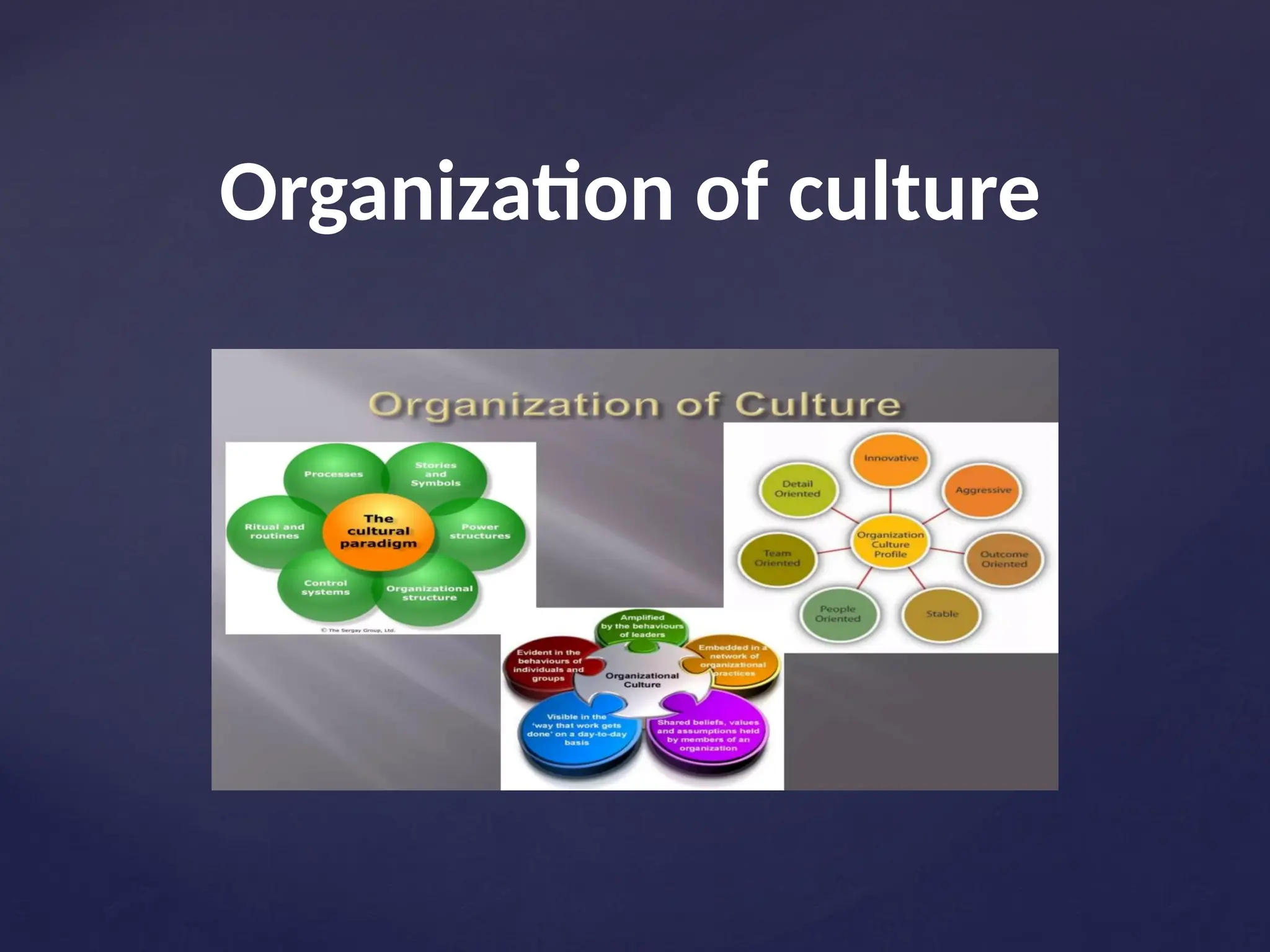organization of culture in sociology. ppt (1) (2).pptx