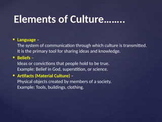 organization of culture in sociology. ppt (1) (2).pptx