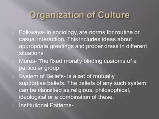 Organization of culture presentation | PPTX