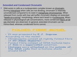 Organization of eukaryotic chromosome.pptx