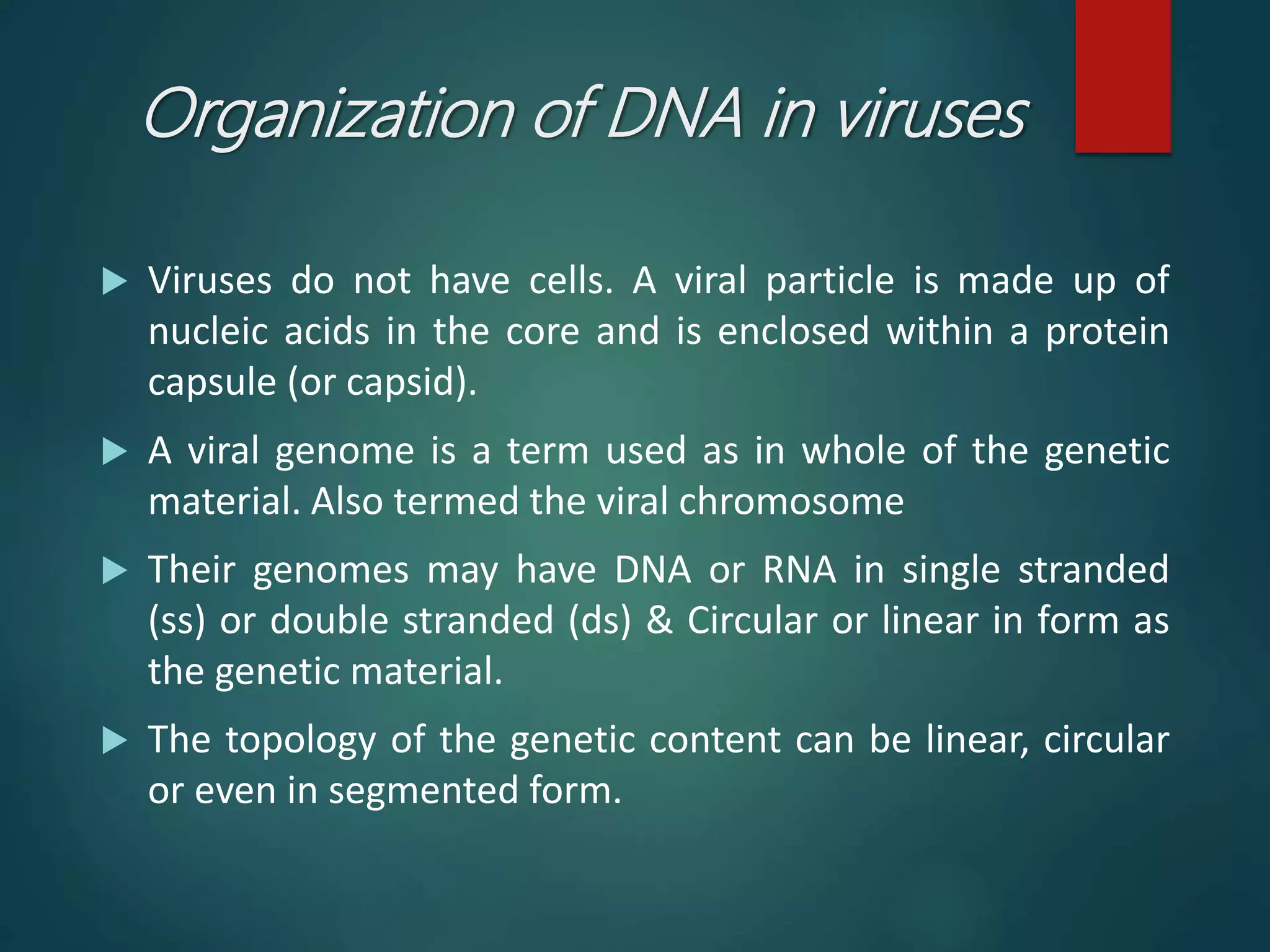 Organization of genetic material on chromosome | PPTX