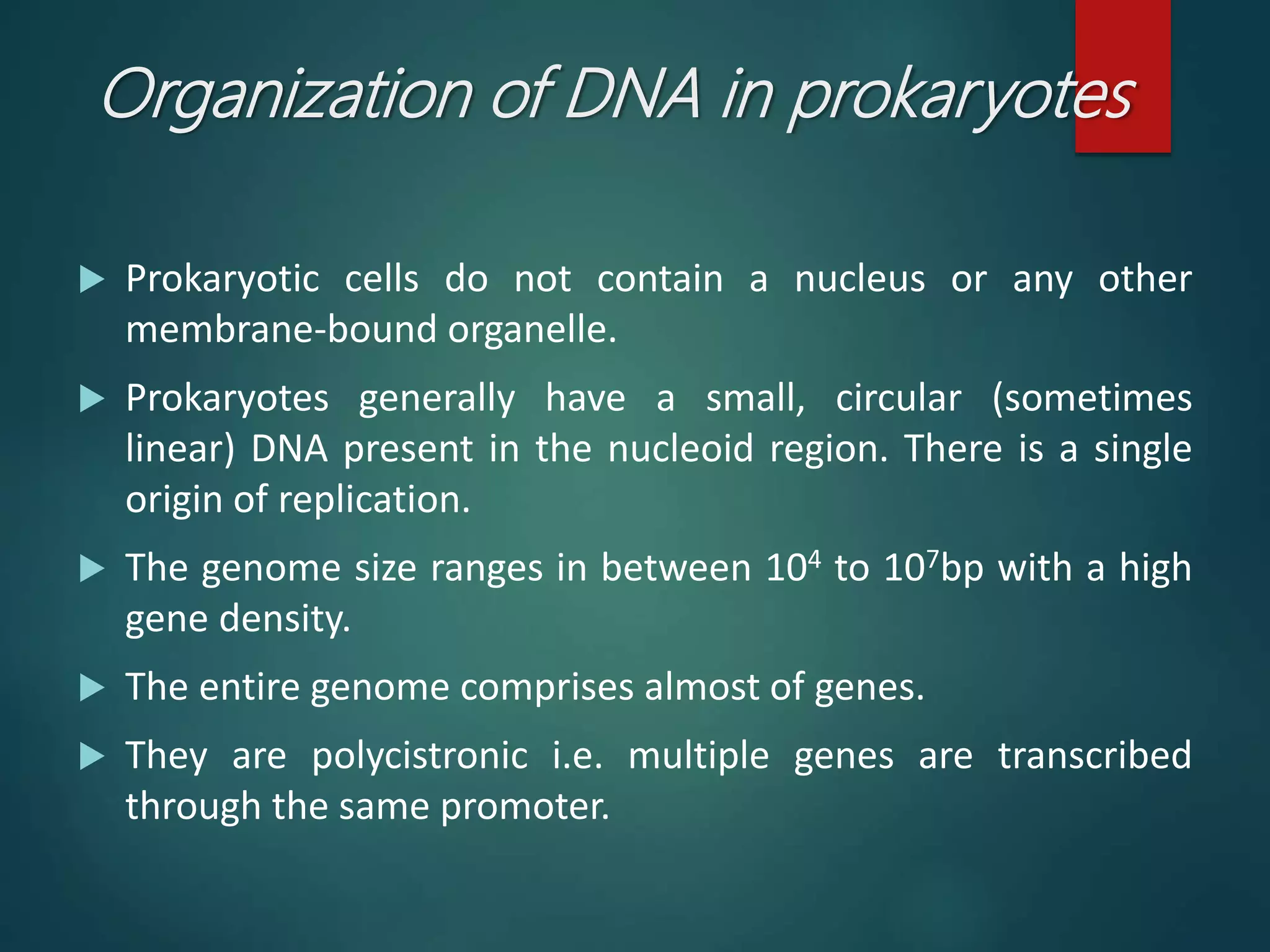 Organization of genetic material on chromosome | PPTX