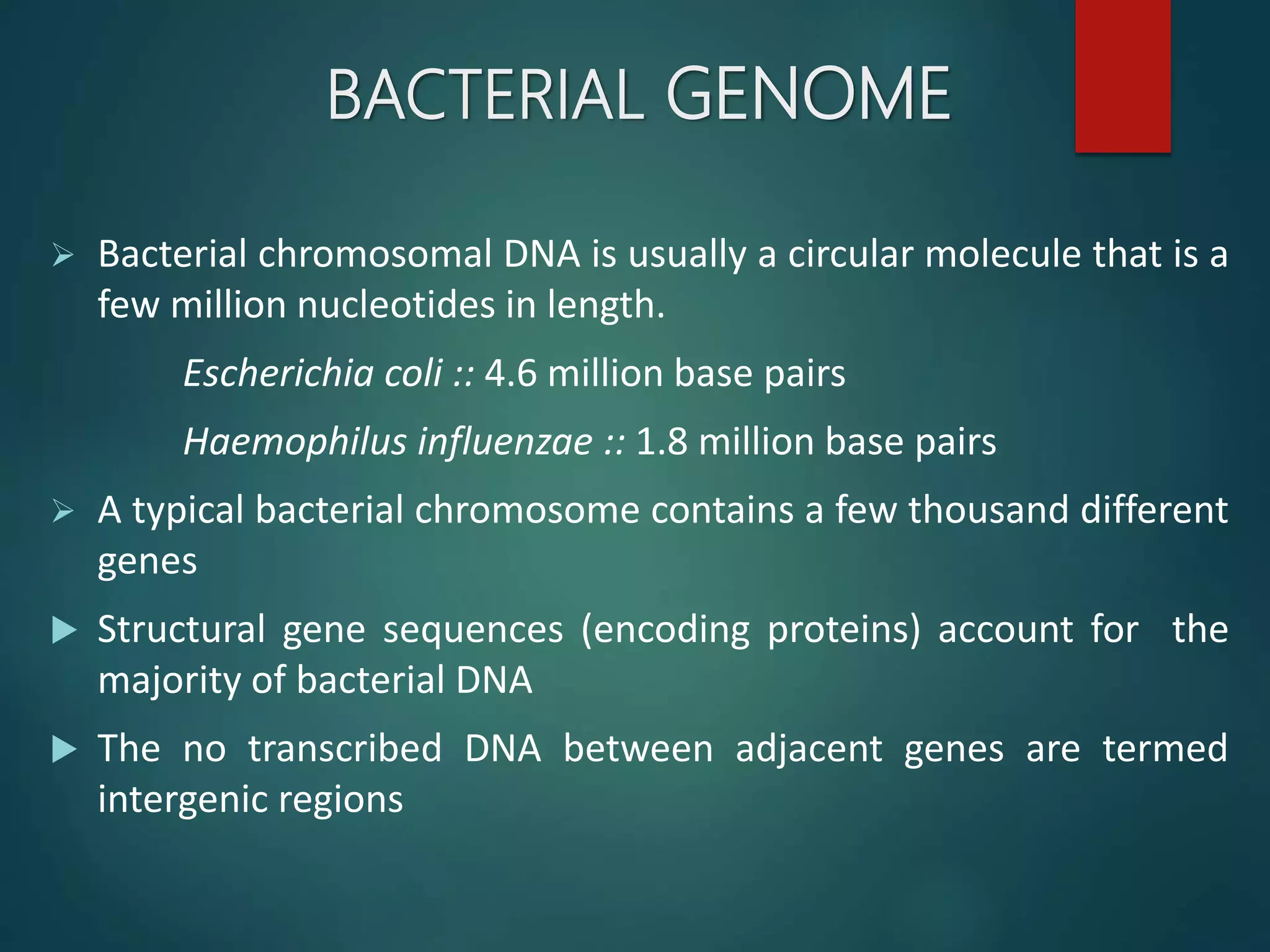 Organization of genetic material on chromosome | PPTX