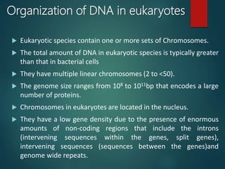 Organization of genetic material on chromosome | PPTX