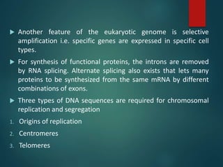 Organization of genetic material on chromosome | PPTX