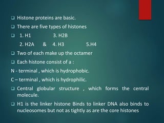 Organization of genetic material on chromosome | PPTX