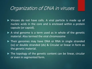 Organization of genetic material on chromosome | PPTX