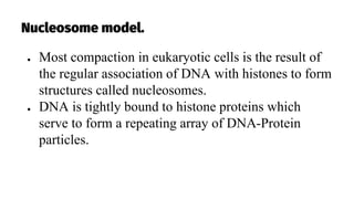 Organization of genetic materials in eukaryotes and prokaryotes | PPTX