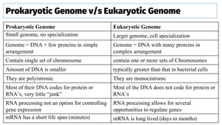 Organization of genetic materials in eukaryotes and prokaryotes | PPTX