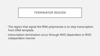 organization of genome both full ppt.pptx
