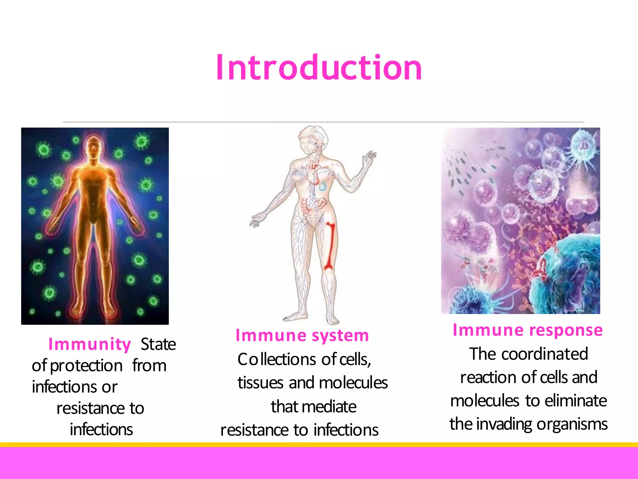 ORGANIZATION OF IMMUNE SYSTEM 1,2.pdf