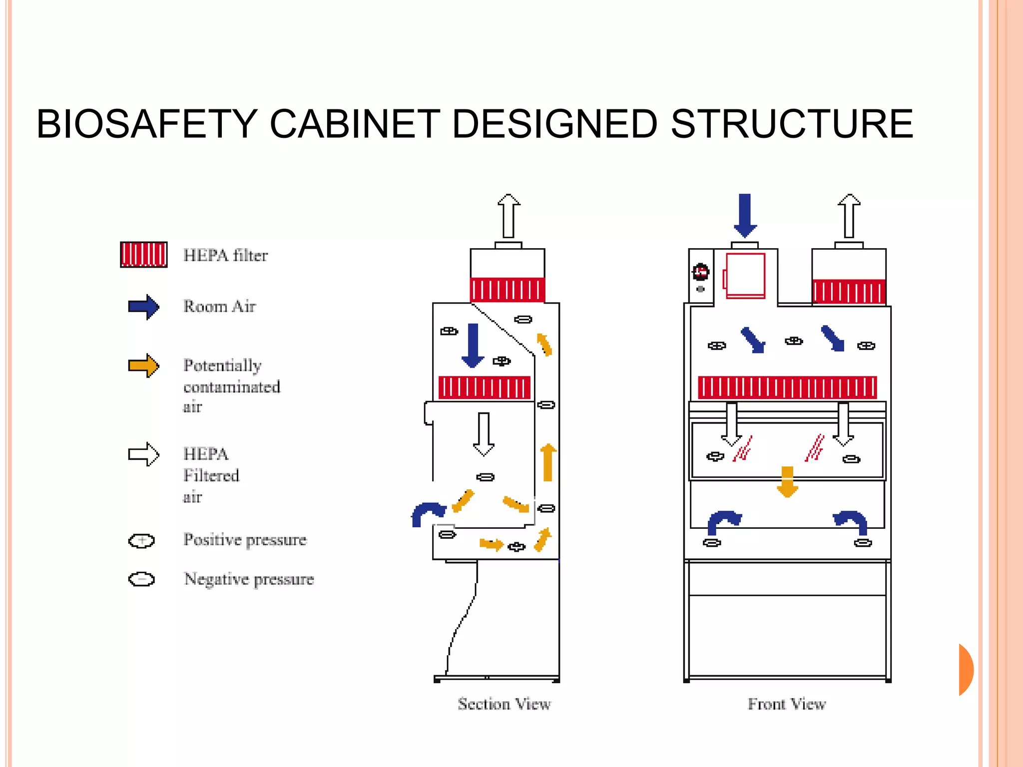 Organization of laboratory | PPTX