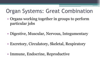 Organization Of Life | PPTX