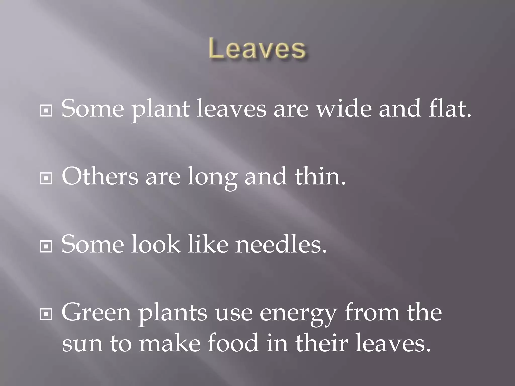 Organization Of Living Things | PPT