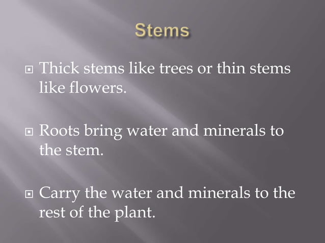 Organization Of Living Things | PPT