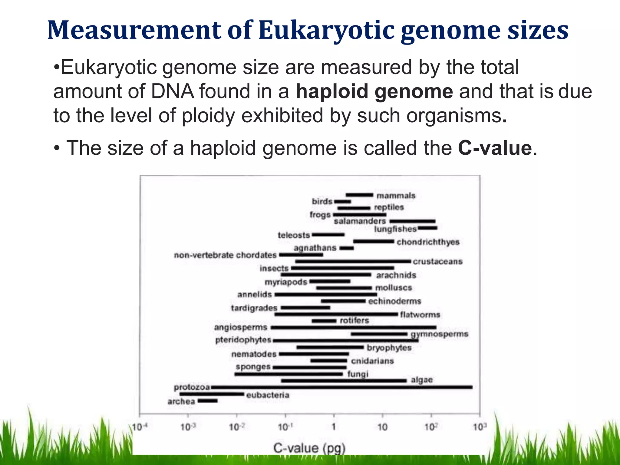 Organization of mammalian genome | PPTX