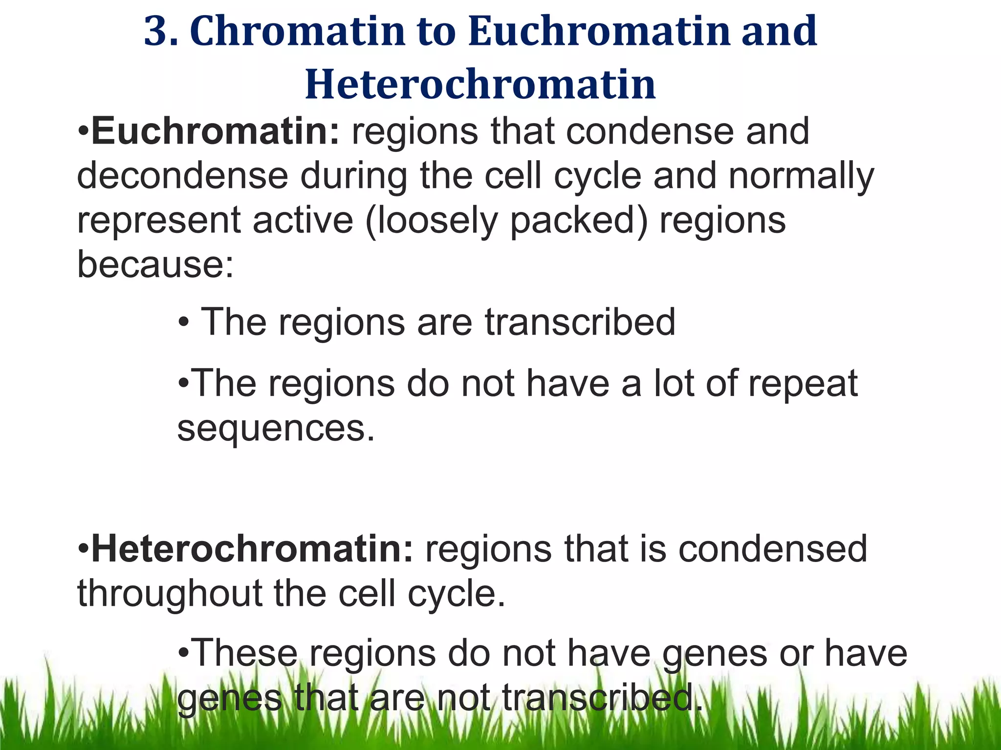 Organization of mammalian genome | PPTX