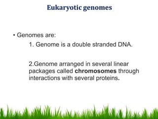 Organization of mammalian genome | PPTX