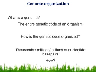 Organization of mammalian genome | PPTX