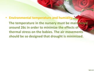 Organization of neonatal care, services,transport,nicu,organization and ...