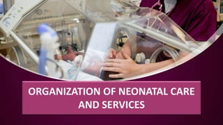 Organization of NICU PPT | PPTX