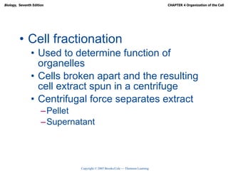 Organization Of The Cell Ch04 Lecture | PPT