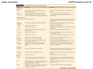 Organization Of The Cell Ch04 Lecture | PPT