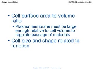 Organization Of The Cell Ch04 Lecture | PPT