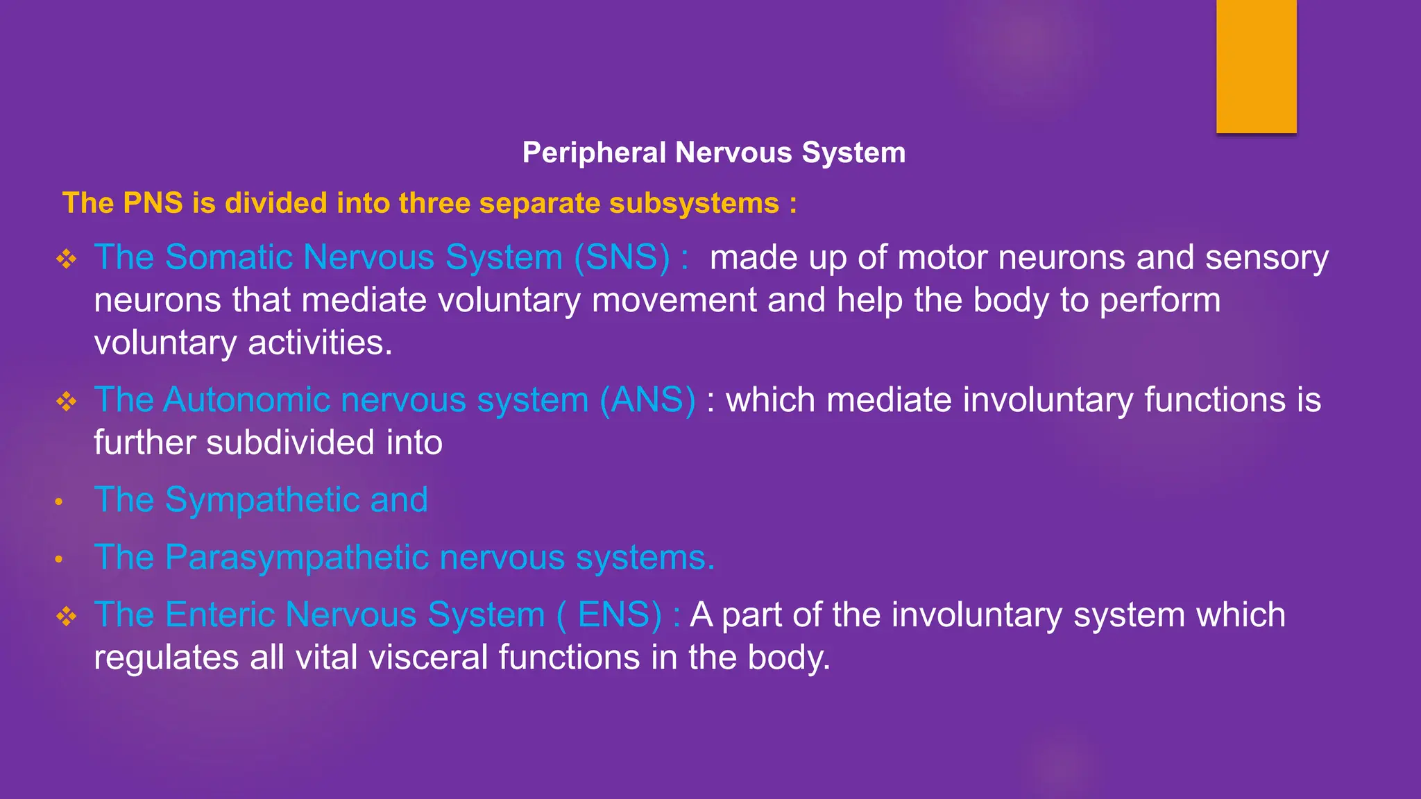 ORGANIZATION OF THE HUMAN NERVOUS SYSTEM.pptx